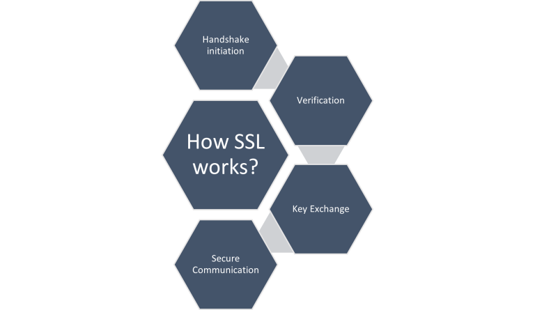 Types Of SSL Certificates - Which One Suits Your Business?